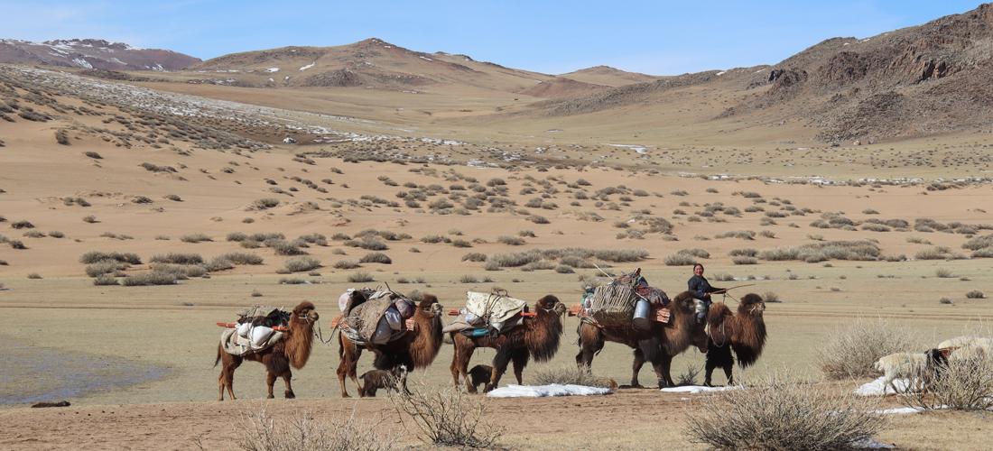 Supporting Mongolia's process for effective NDC implementation | UNDP Climate Change Adaptation